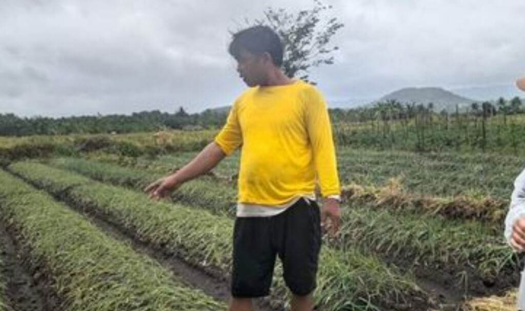Magsasaka kay Speaker Dy: ‘Di kami nanlilimos; palay mas pabor na ...