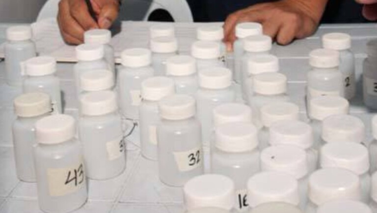 9 tauhan ng PCG S. Visayas nagpositibo sa random drug test - Remate Online