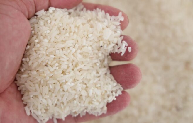 P50/kg price cap sa imported rice, suportado ng DA - Remate Online
