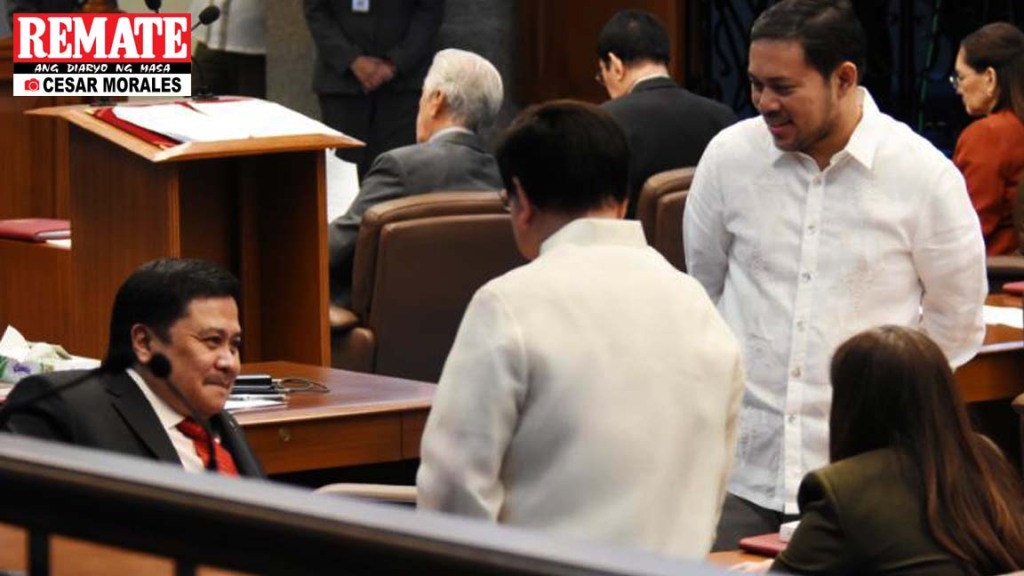 Plenary session ng Senado - Remate Online