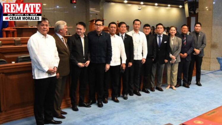 Senado, nagtalaga ng mga bagong Chairperson ng mga komite - Remate Online